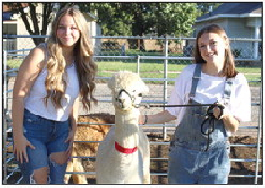 MES Holds Interactive Day of Learning